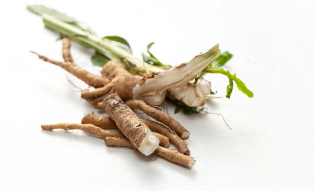 All You Need to Know About Root Vegetables (Full List)