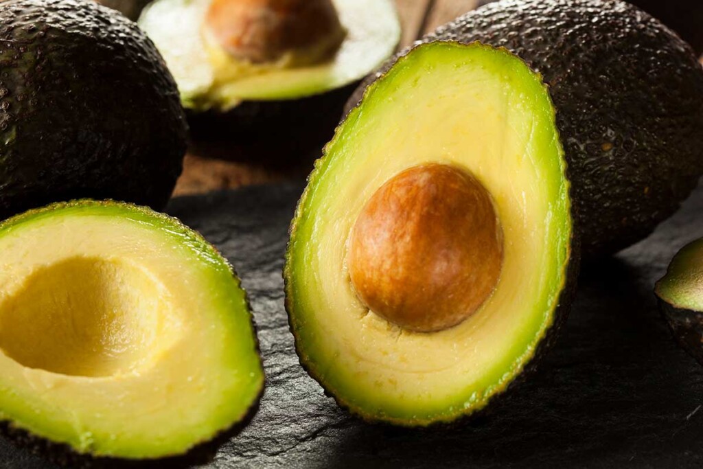 25 Different Types of Avocados Explained