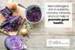 25 Amazing Health Benefits of Red Cabbage