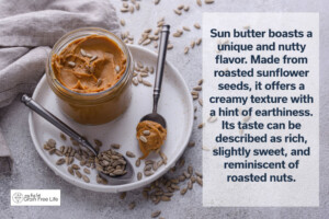 Sunbutter: What it Is & Sunflower Butter Brands to Buy