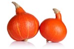 67 Different Types of Squash (Summer & Winter Varieties)