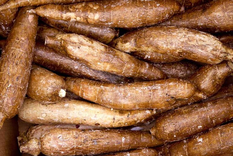 What are Tubers? 50 Tuber Crops with Uses and Nutrition