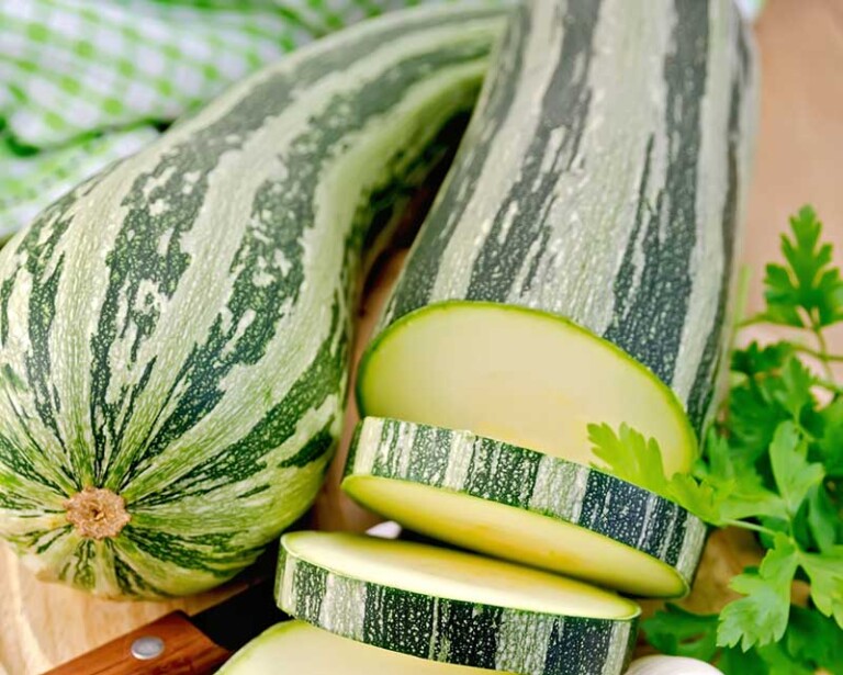 67 Different Types of Squash (Summer & Winter Varieties)