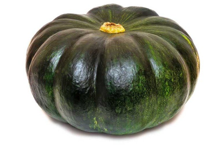 67 Different Types of Squash (Summer & Winter Varieties)