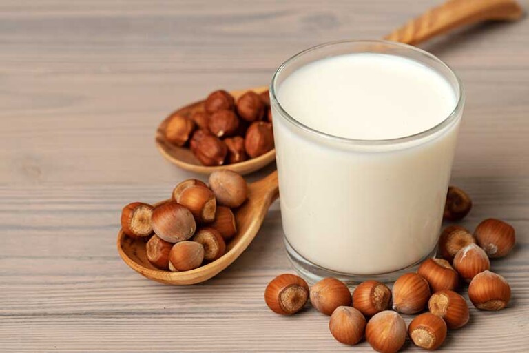 The Ultimate Guide to Plant Based Milk + How to Make It