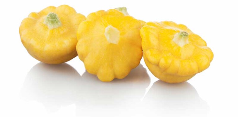 67 Different Types of Squash (Summer & Winter Varieties)
