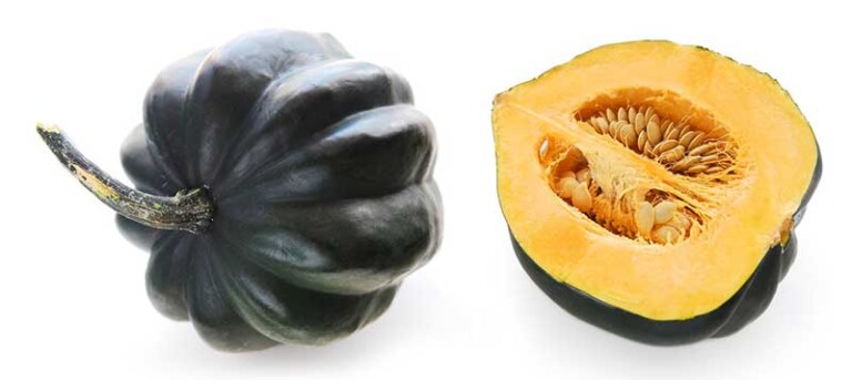 67 Different Types of Squash (Summer & Winter Varieties)