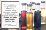 The Ultimate List of Types of Vinegar (Uses & Benefits)