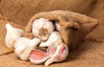 What are Tubers? 50 Tuber Crops with Uses and Nutrition