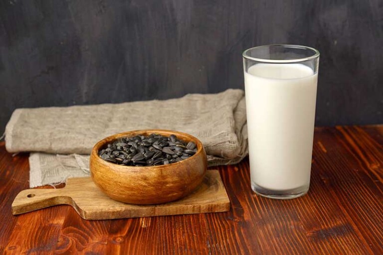 The Ultimate Guide to Plant Based Milk + How to Make It