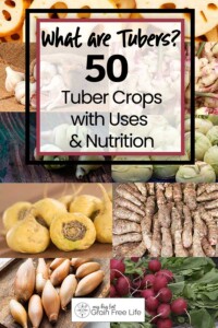 What are Tubers? 50 Tuber Crops with Uses and Nutrition