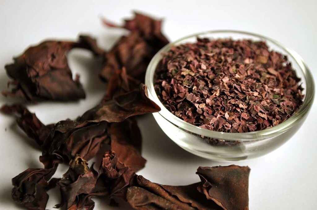 20 Health Benefits of Dulse (Bacon-flavored Seaweed)