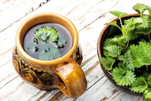 23 Best Teas For Sinus Congestion & Infections