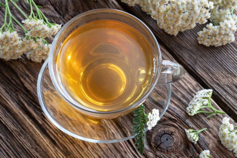 23 Best Teas For Sinus Congestion & Infections