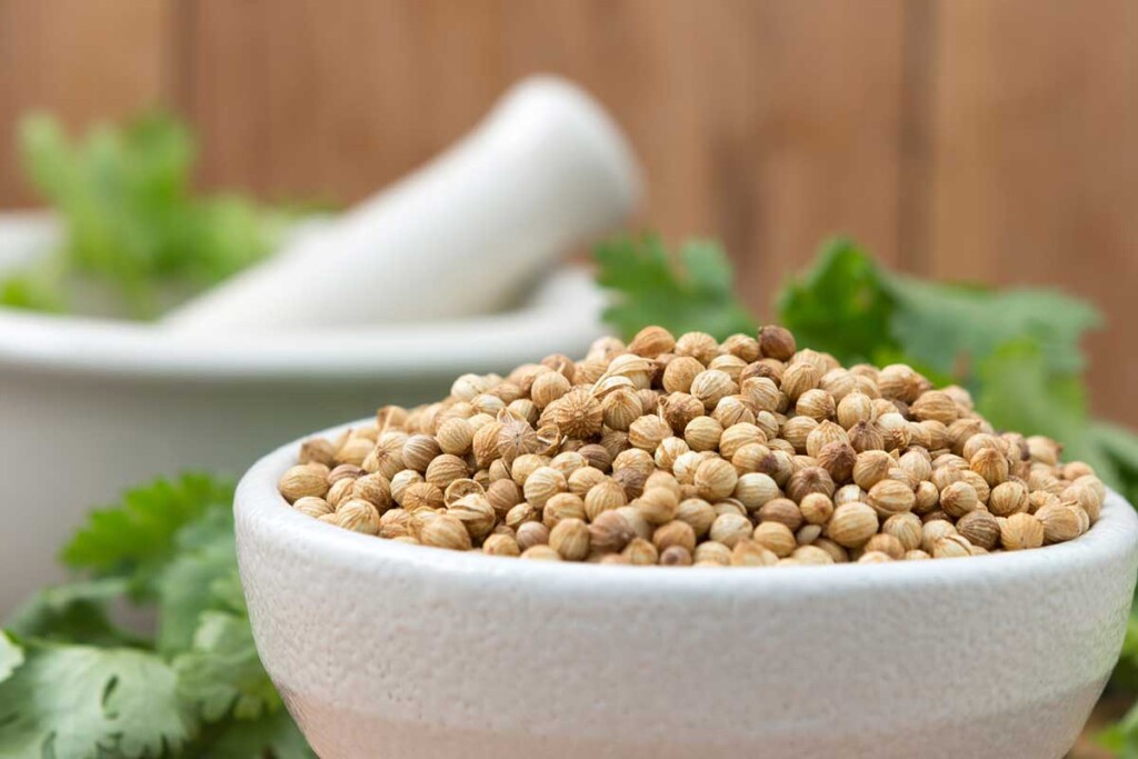 25 Health Benefits of Coriander Seeds (Nutrition + Uses)