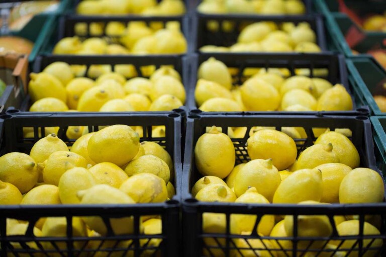 25 Surprising Health Benefits of Lemon Seeds (#8 is Shocking)