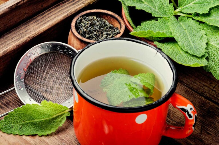 23 Best Teas For Sinus Congestion & Infections