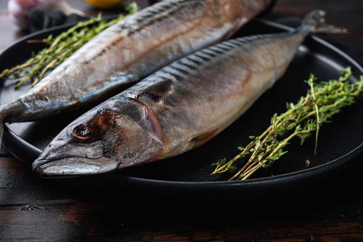 25 Health Benefits of Mackerel (Nutrition + 10 Ways to Eat It)