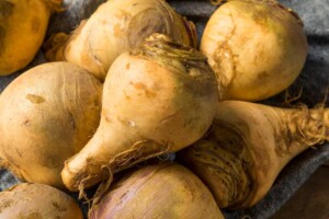 Low Starch Root Vegetables Guide for a Low-Carb Diet