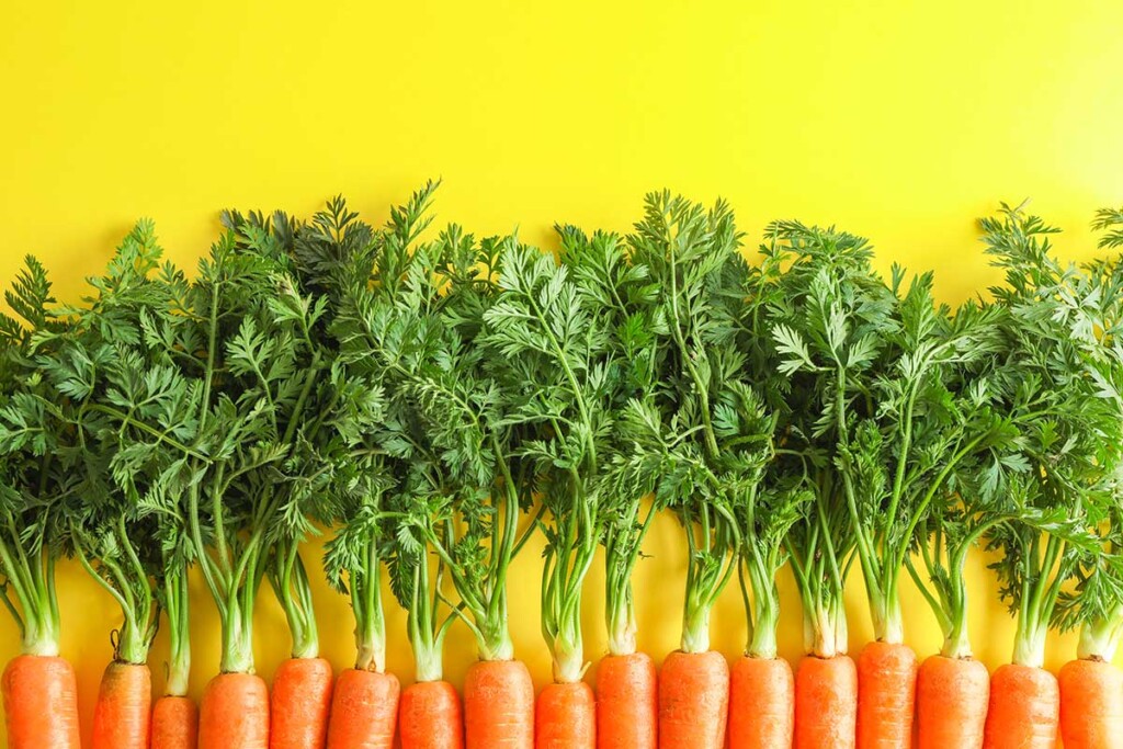 Carrot Leaves: Read This Before Tossing The Top Greens