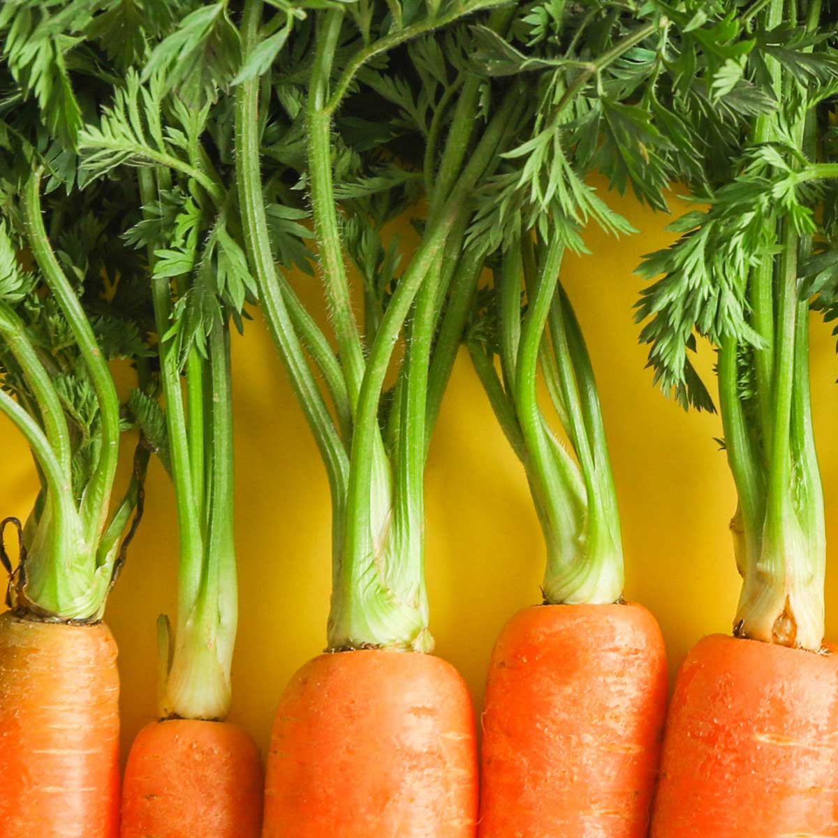 Bael Fruit: Taste, Uses, Health Benefits & More