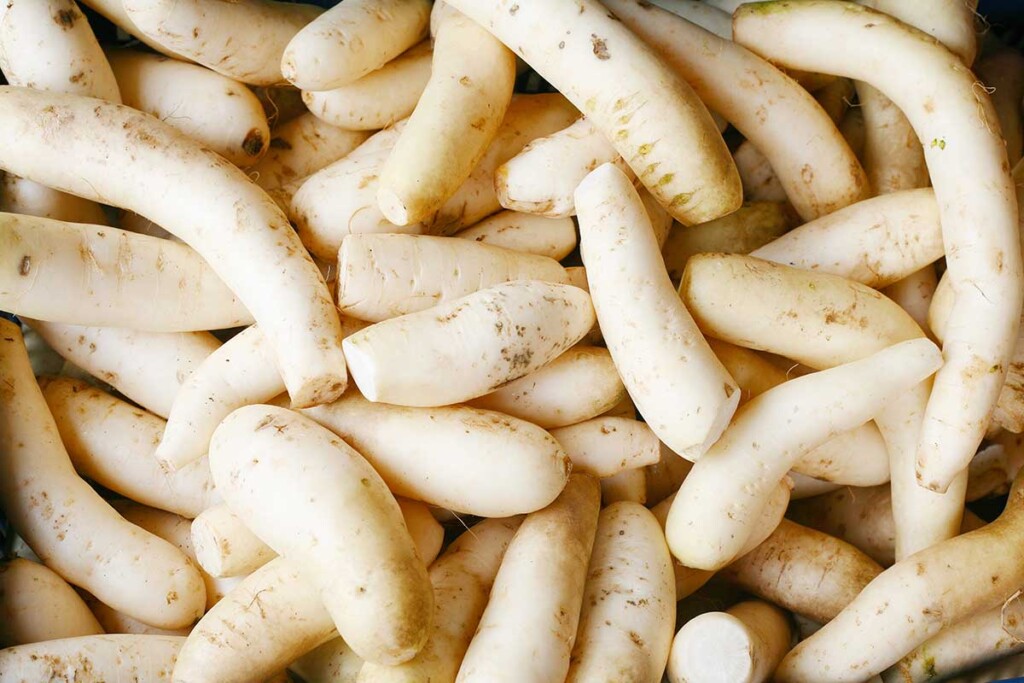 Low Starch Root Vegetables Guide for a Low-Carb Diet