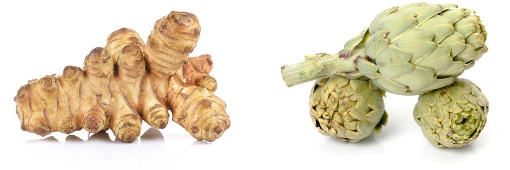 Jerusalem Artichoke vs Artichoke (What's the Difference?)