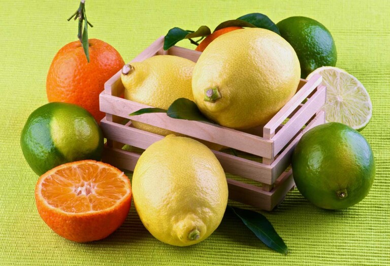 How to Keep Citrus Fruit Fresh: Storage Methods that Work