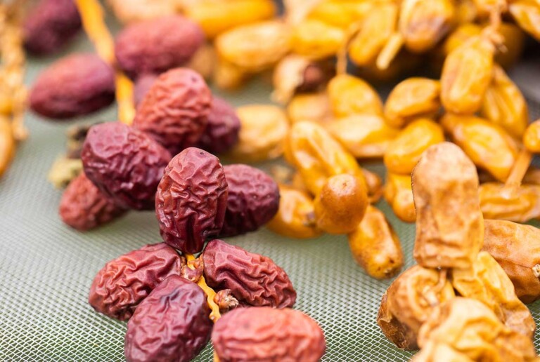 40 Types of Dates: Different Varieties Explained