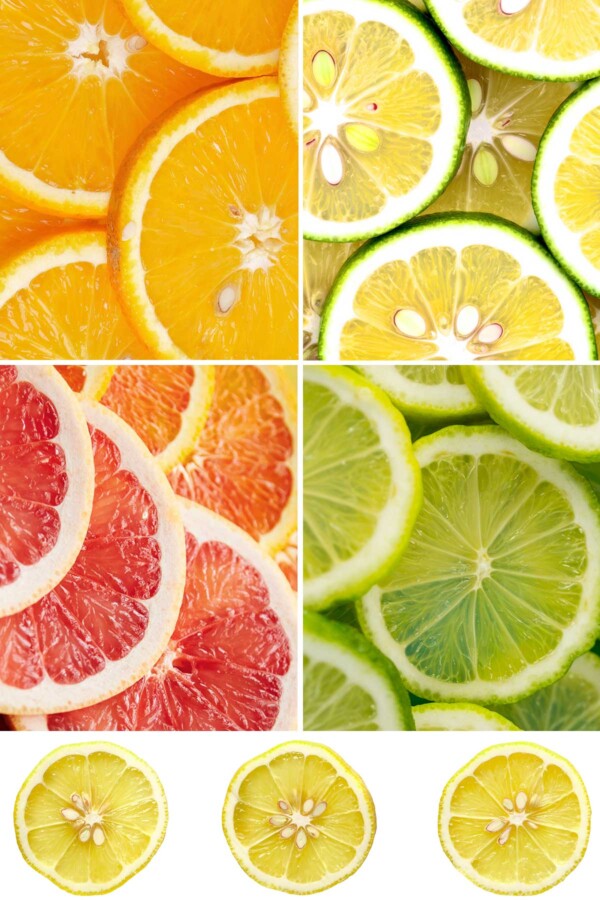 How to Keep Citrus Fruit Fresh: Storage Methods that Work
