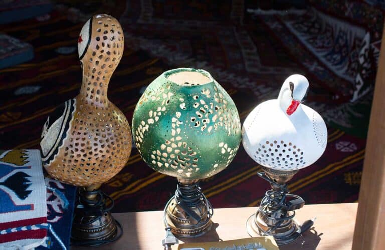 Ornamental Gourds: Different Types, Growing & Curing