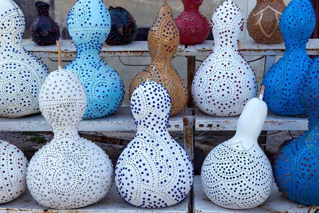 Ornamental Gourds: Different Types, Growing & Curing