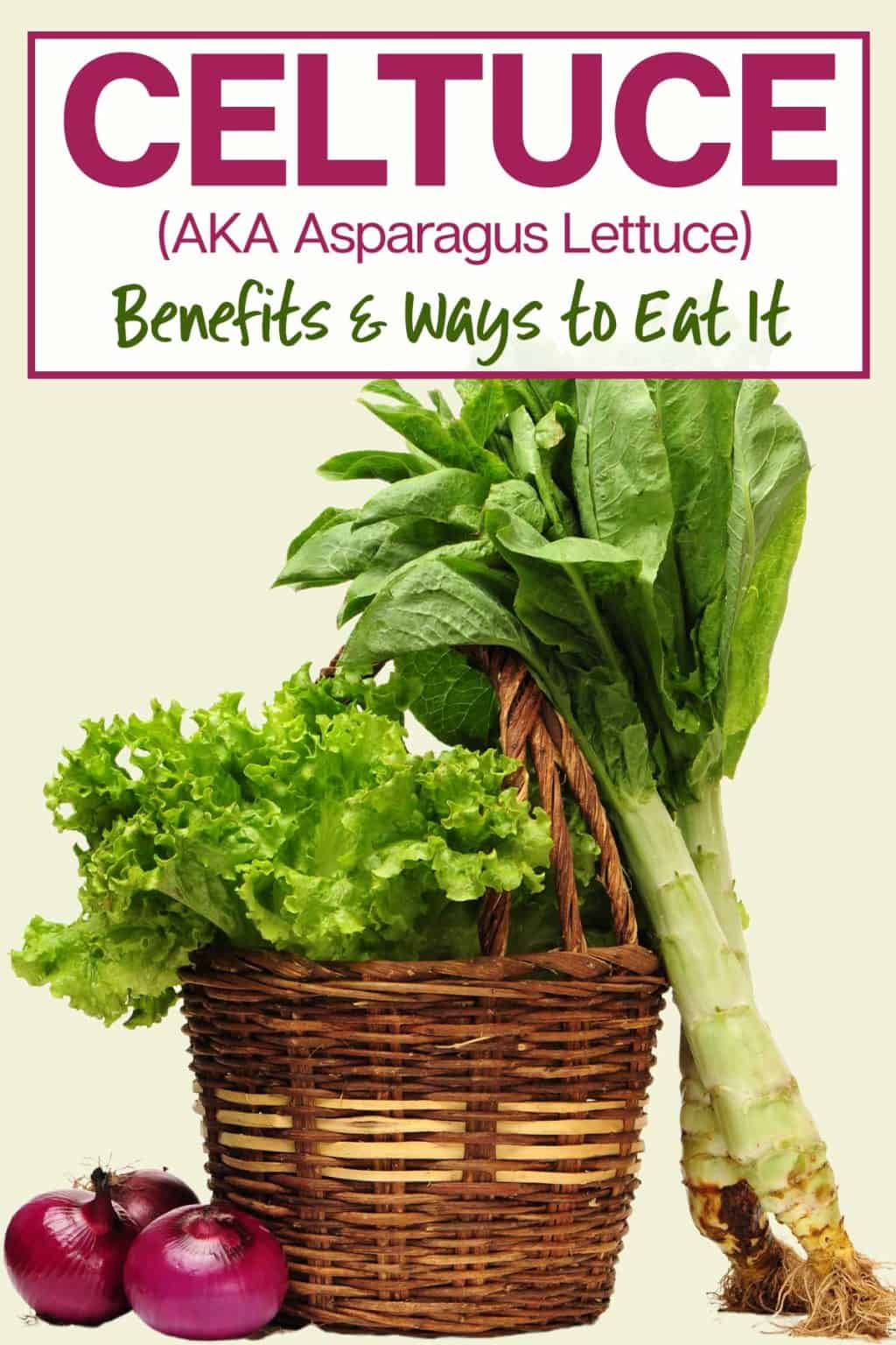 Celtuce (AKA Asparagus Lettuce): Benefits & Ways to Eat It