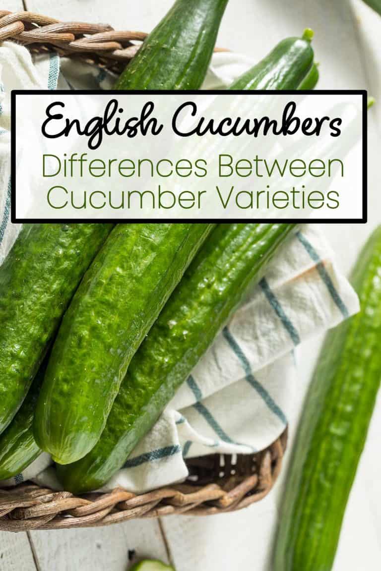 English Cucumbers: Difference Between Cucumber Varieties